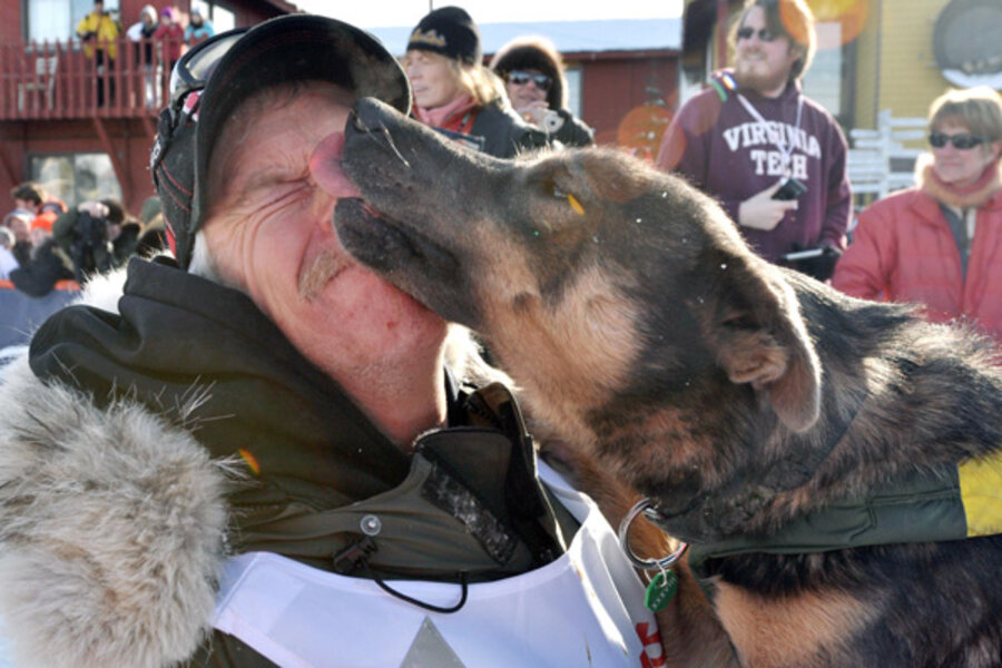 Iditarod - CSMonitor.com
