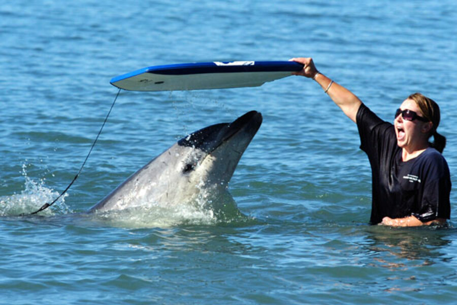 Top shark attack locations - CSMonitor.com