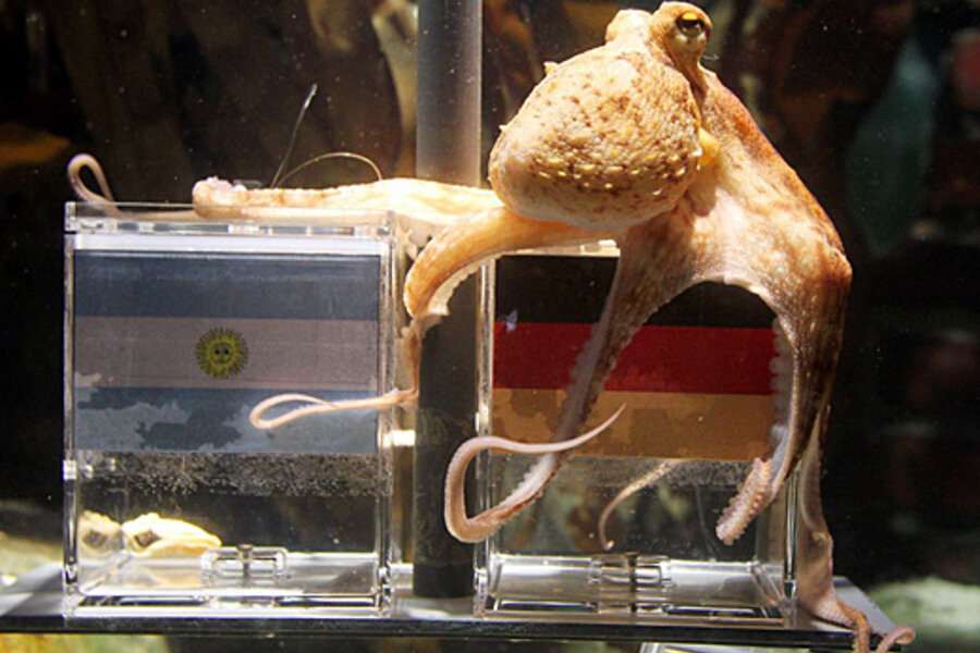 Amazing octopuses - CSMonitor.com