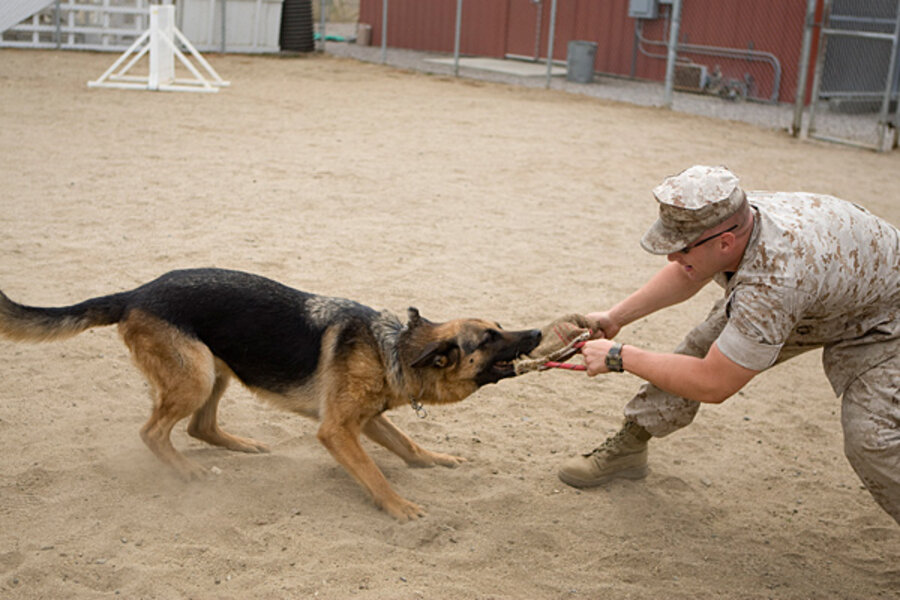 Dogs of war - CSMonitor.com