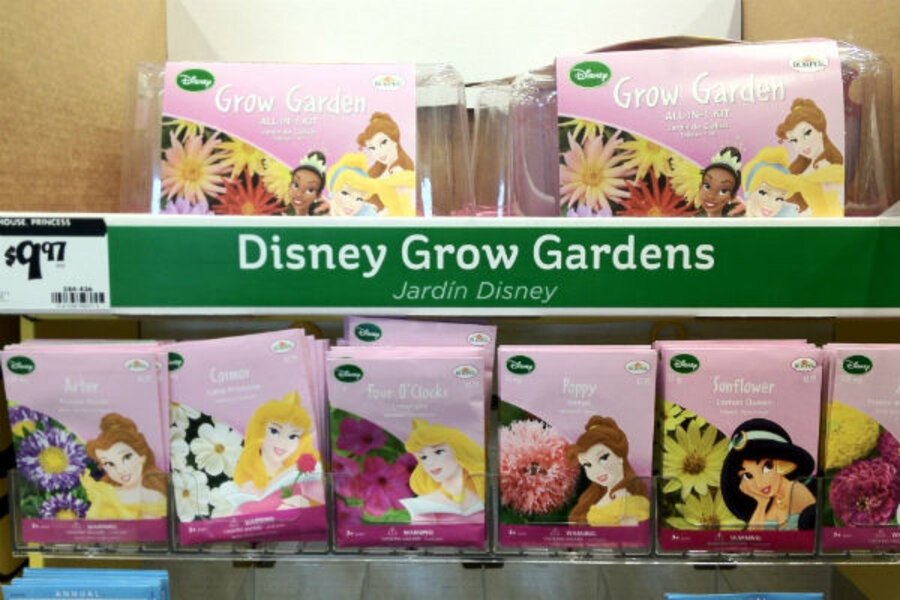 Disney Princess Flowers Singapore The Language Of Flowers Mulan Disney Princess Fanpop