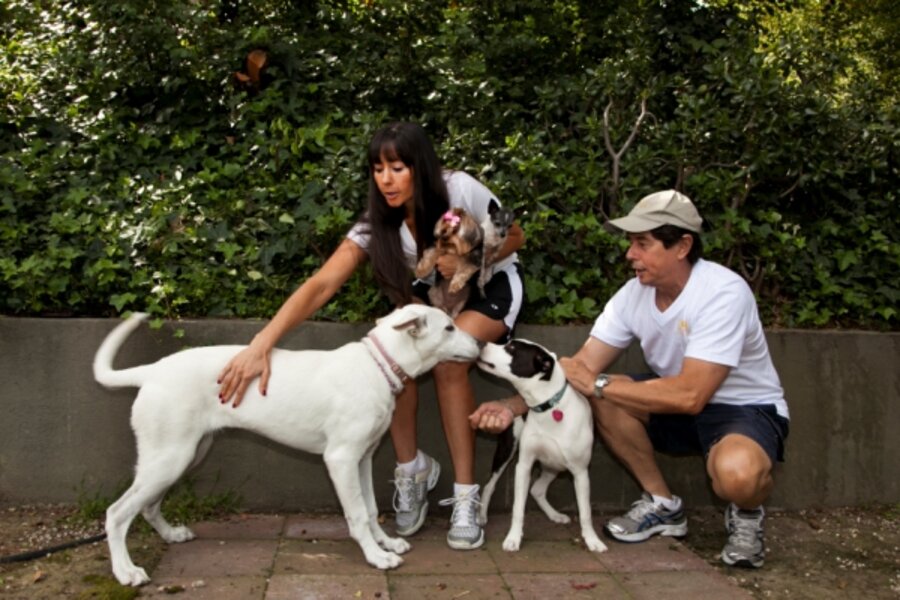 Vacation deal for your dog? Website offers pet hosts. - CSMonitor.com