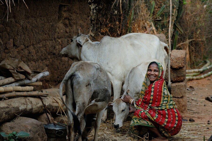 What the world's poor can teach us on jobs - CSMonitor.com