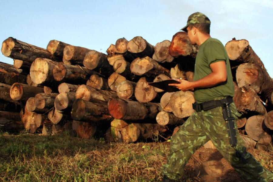 Brazilian activist flees Amazon home after threats from illegal loggers ...