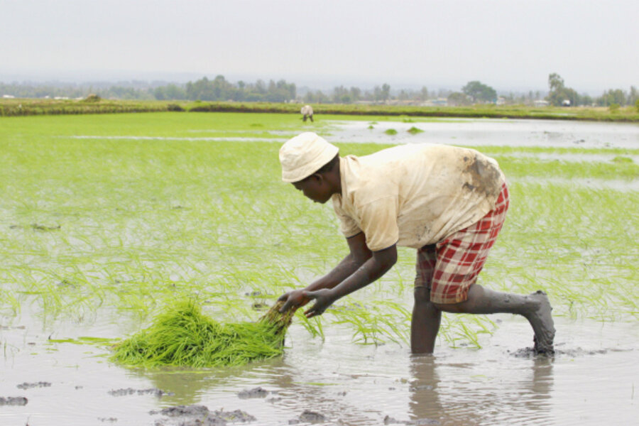 Sharing local knowledge helps farmers succeed - CSMonitor.com