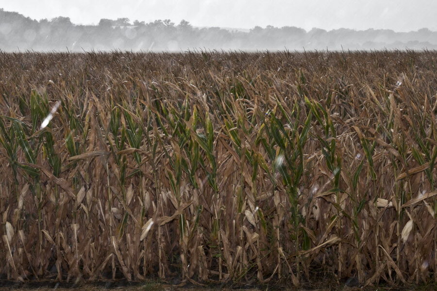 Midwestern drought, election year politics add to pressure on ethanol ...