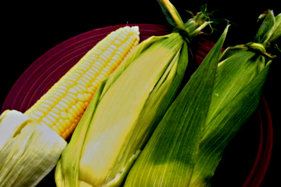 How to make corn broth - CSMonitor.com