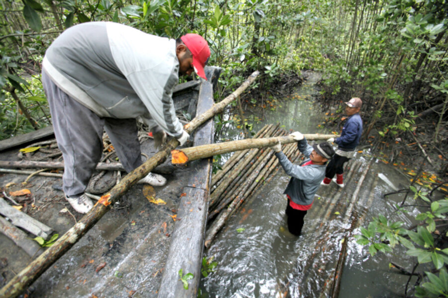 Protecting mangroves is cheaper than building coastal protection ...