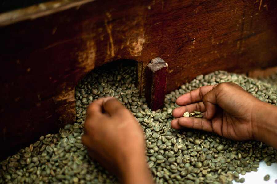 Entrepreneur tries to get Yemenis buzzing about coffee, not qat ...