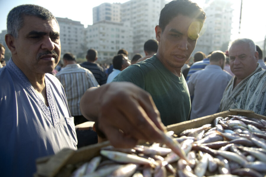 Ceasefire opens up deeper waters for Gaza's fishermen - CSMonitor.com