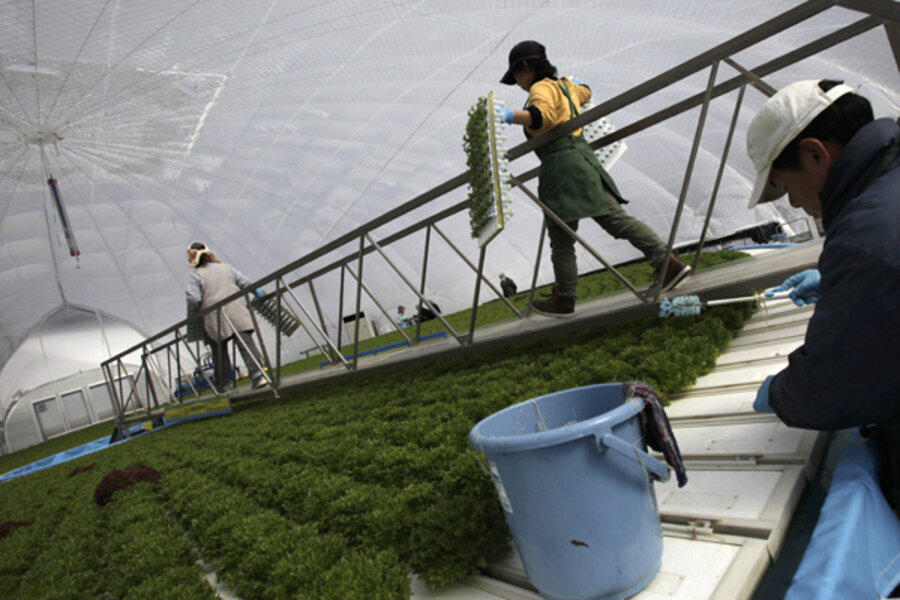 After Fukushima: Japan's new model for farms - CSMonitor.com