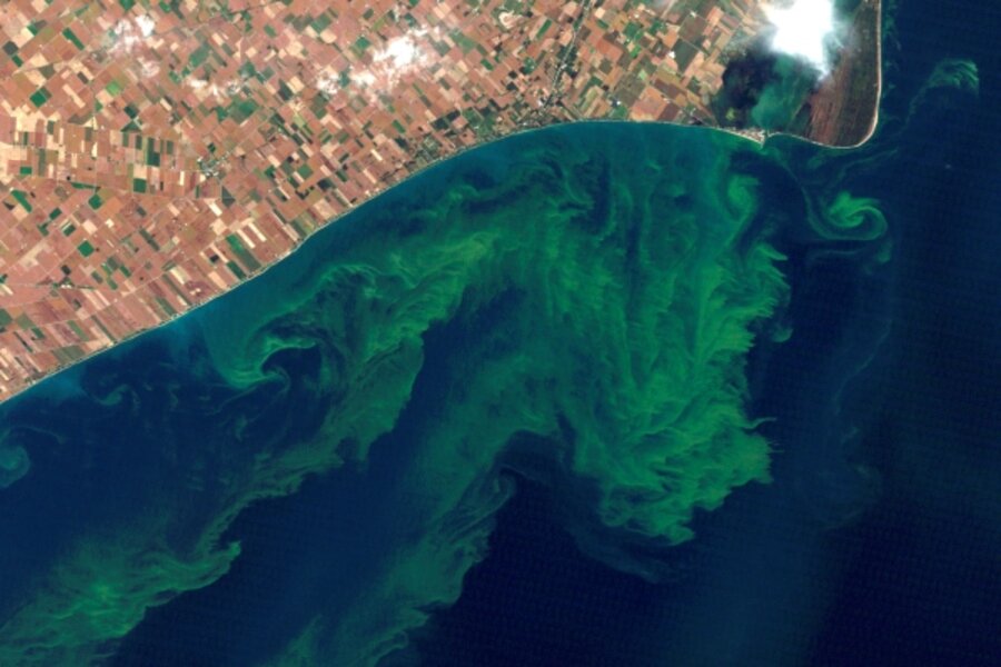 Lake Erie: big algae problems, more to come - CSMonitor.com