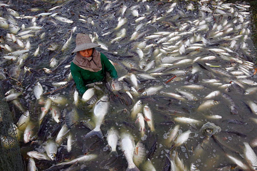 Was the fish you had for dinner caught by slaves? New report raises ...