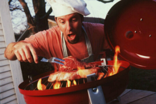 How often can you see people grilling/barbecuing outdoors in your area ...