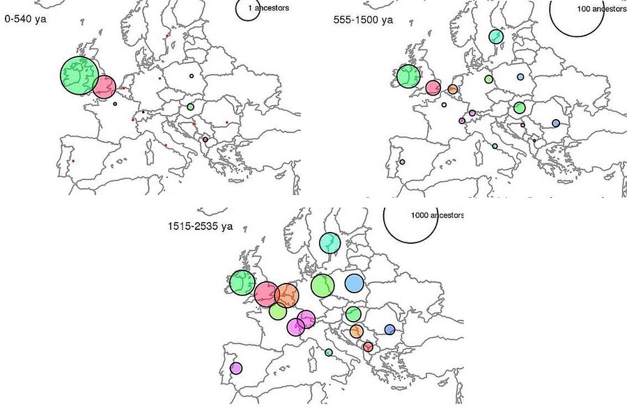 All Europeans related? Genes reveal a continent of cousins. - CSMonitor.com