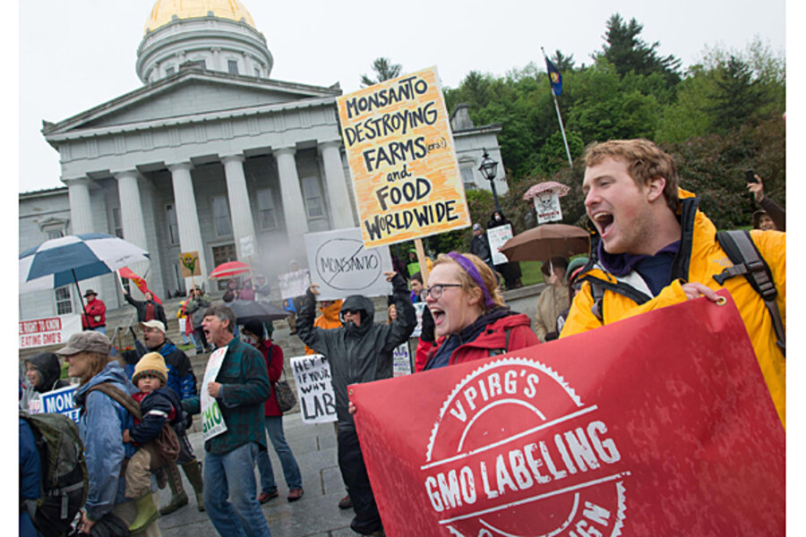Monsanto lawsuit filed by farmers over GMO wheat - CSMonitor.com