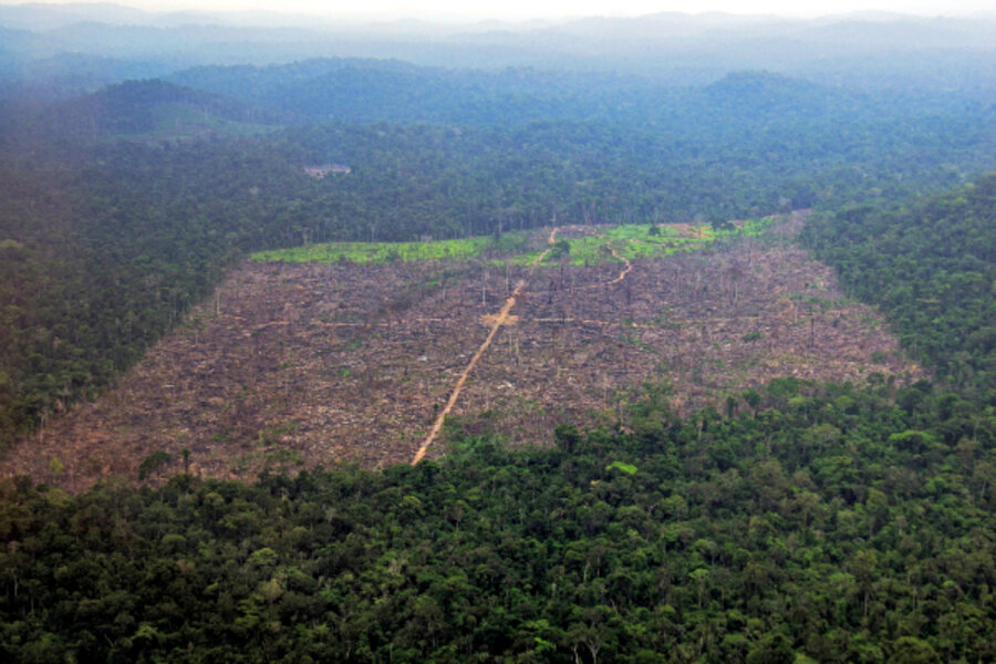 How better-trained farmers slow Brazil's deforestation - CSMonitor.com