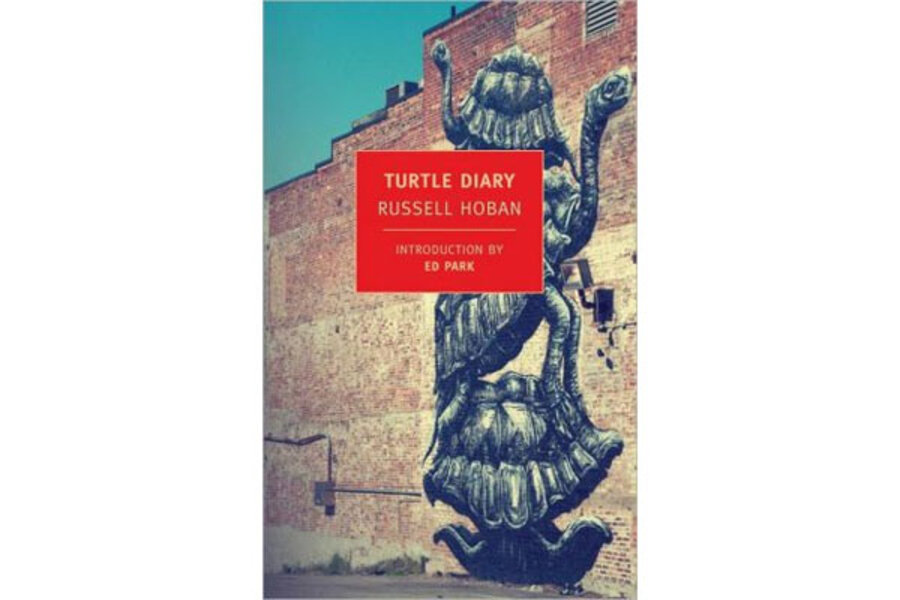 Turtle Diary - CSMonitor.com