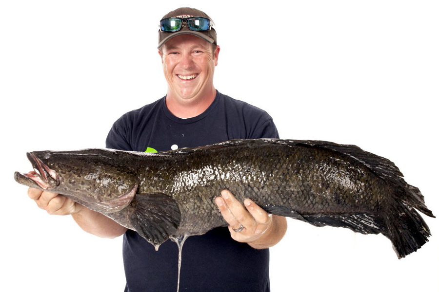 'Frankenfish' caught in Va. sets world record - CSMonitor.com