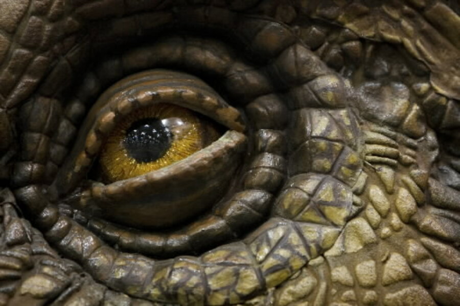 thagomizer - CSMonitor.com