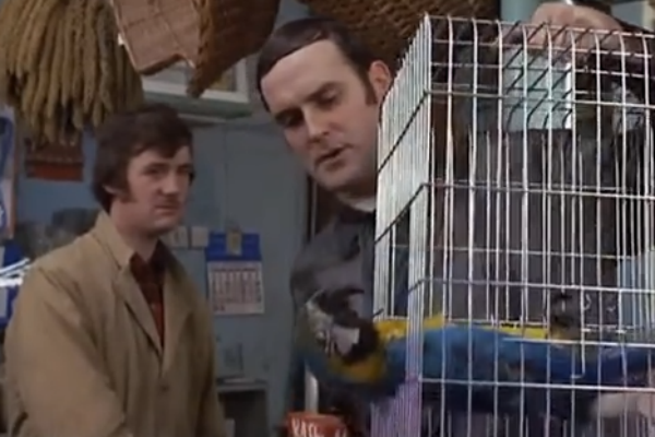 Monty Python reunion: Top 12 videos for parent-kid bonding - Silly ...