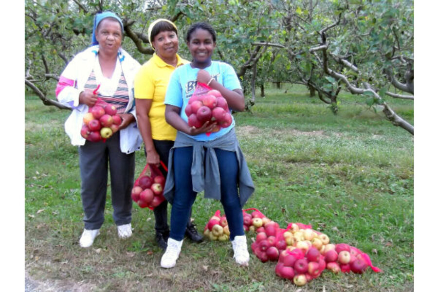 Glean food from the fields - CSMonitor.com