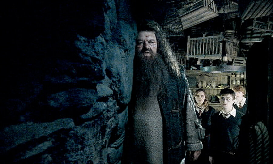What Hogwarts professor do Harry and Hagrid meet at the Leaky Cauldron ...
