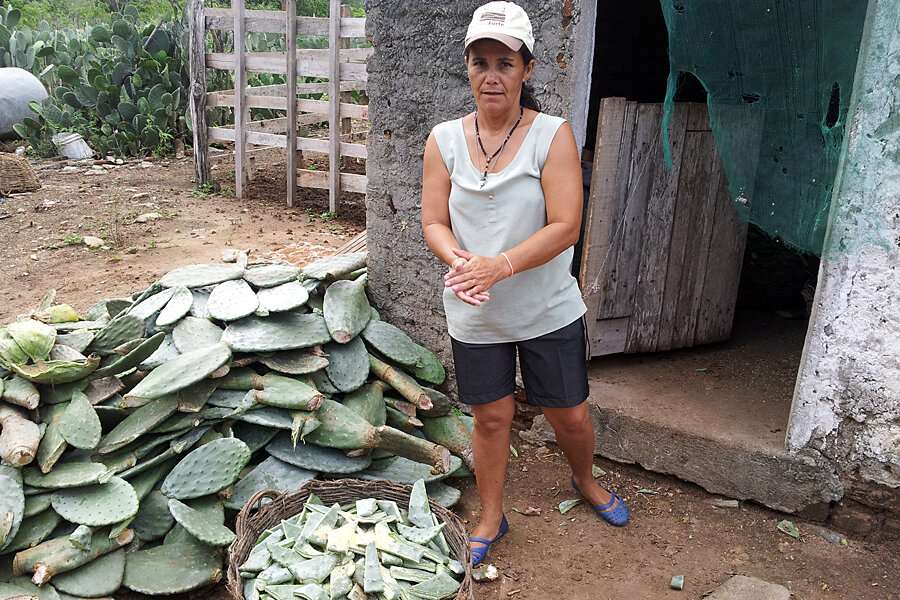 Brazil's long-impoverished northeast rides into the middle class ...