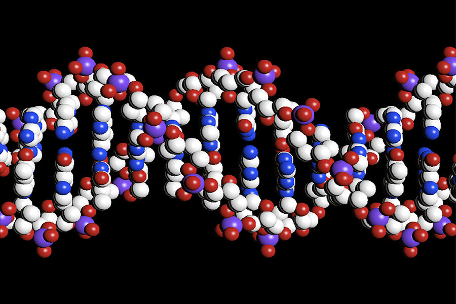 Scientists add two new letters to DNA's 'alphabet' - CSMonitor.com