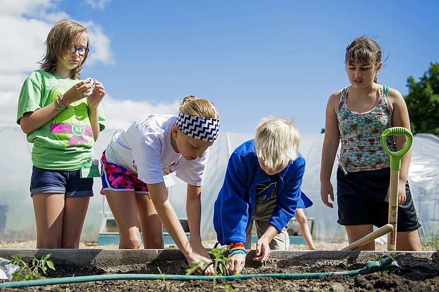 How school gardens can teach skills and unify communities - CSMonitor.com