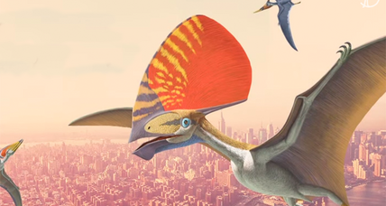 Aetodactylus halli fossil: a clue in North American mystery - CSMonitor.com