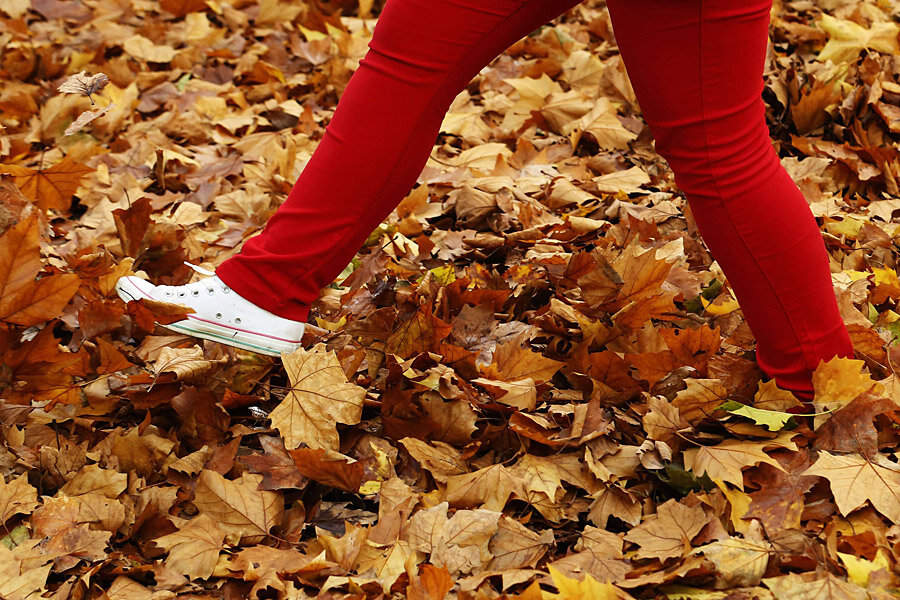 Seven tools to prepare your home and garden for fall - CSMonitor.com