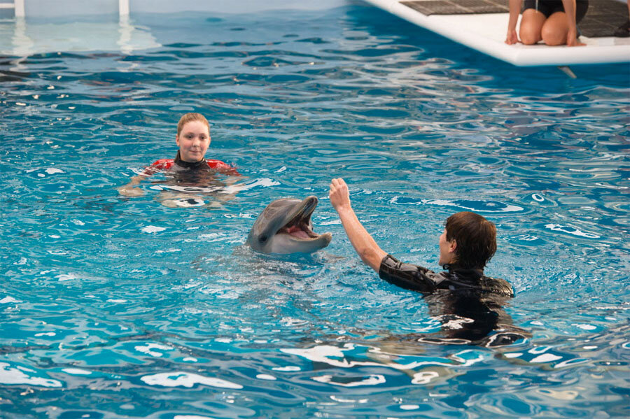 'Dolphin Tale 2' is an engaging and rousing film - CSMonitor.com