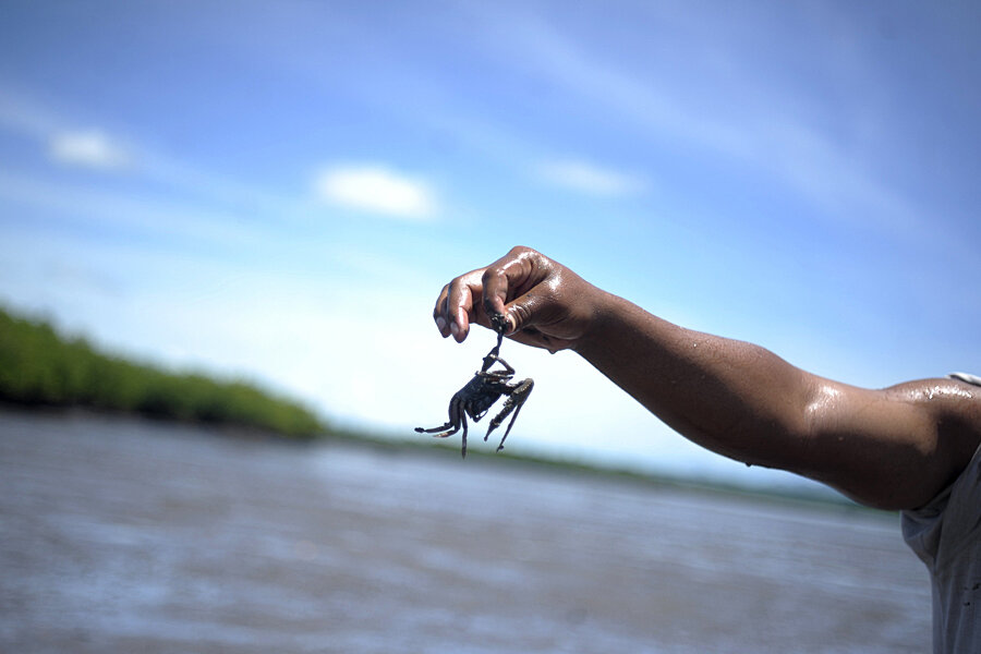 Crabs on a plane make for crabby passengers - CSMonitor.com