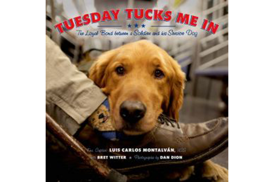 Reader recommendation: Tuesday Tucks Me In - CSMonitor.com