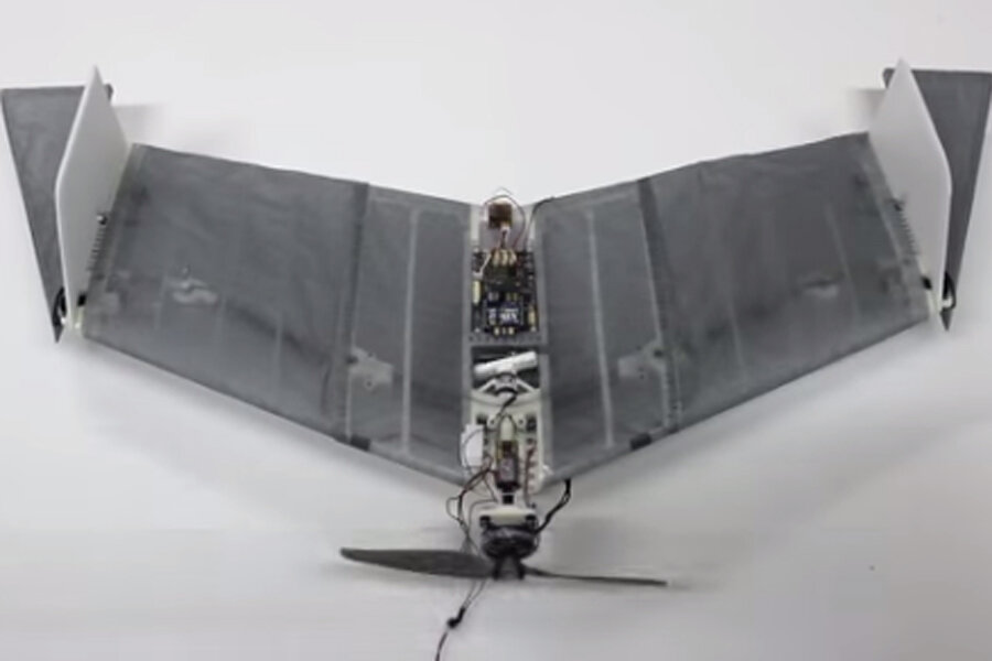 Researchers develop flying, walking bat bot - CSMonitor.com