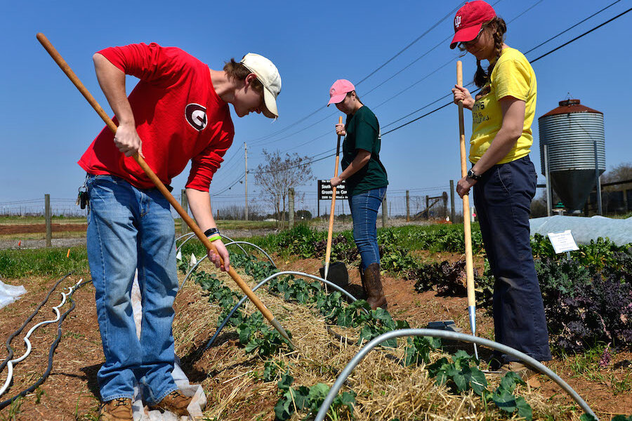 Ten things we can all do to support a local food system - CSMonitor.com