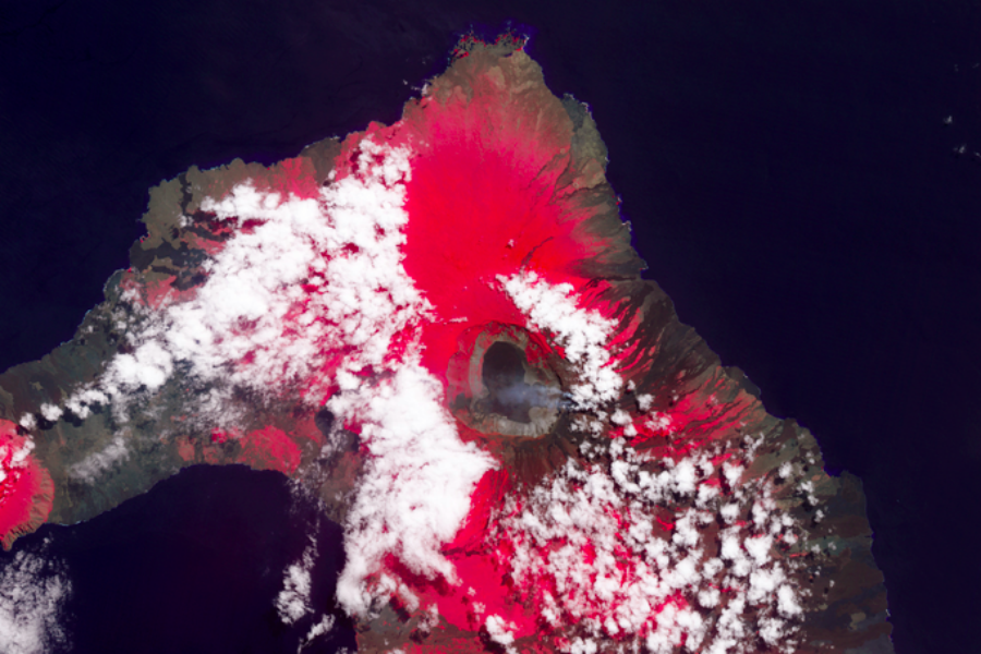 What happens when a volcano erupts in the Galápagos? - CSMonitor.com