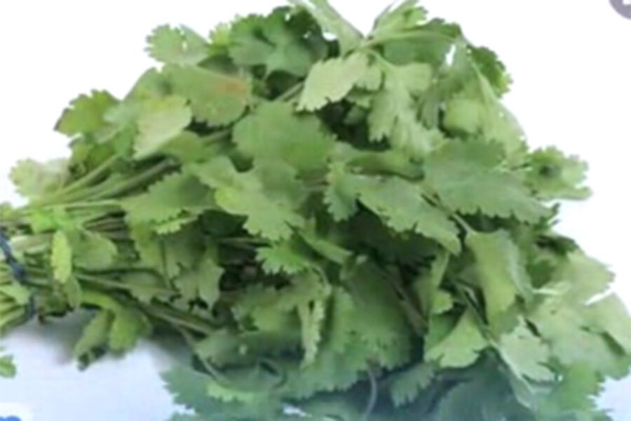 FDA cilantro ban: Why cilantro from Puebla, Mexico is prohibited in the ...