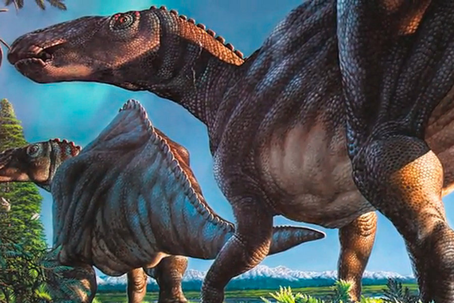 How did duck-billed dinosaurs survive in Alaska? - CSMonitor.com