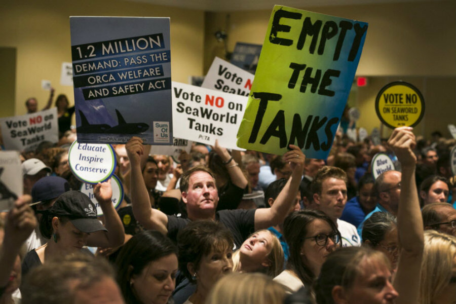 Amid SeaWorld struggles, signs of a more 'pro-animal' future ...