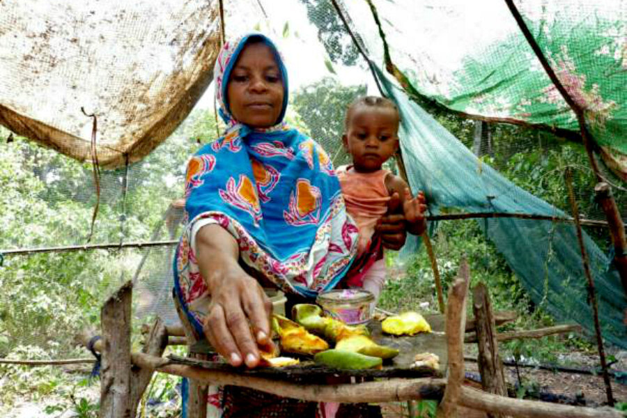 To save a rare forest, farmers try a new crop – butterflies - CSMonitor.com