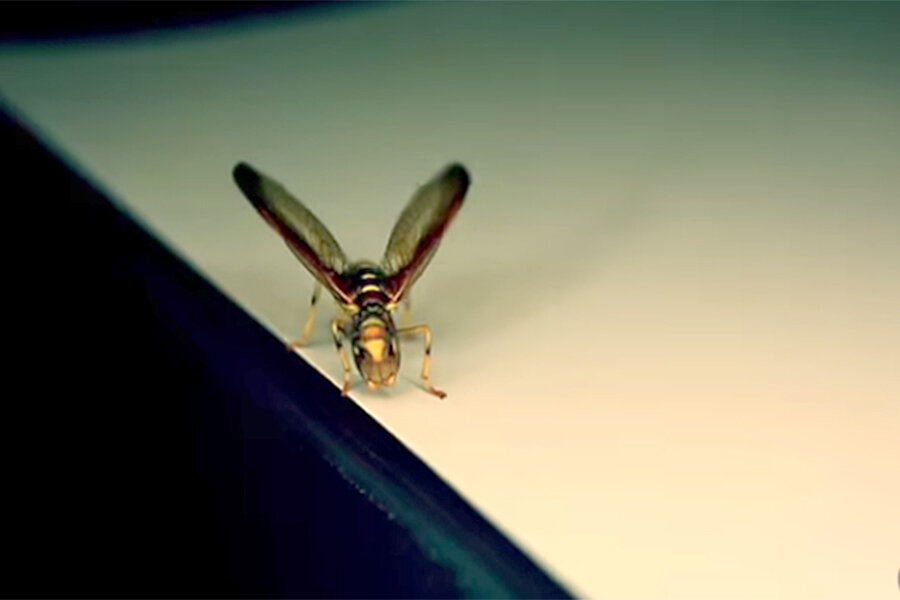 Your home may host 100 different 'quiet and benign' bugs, scientists ...