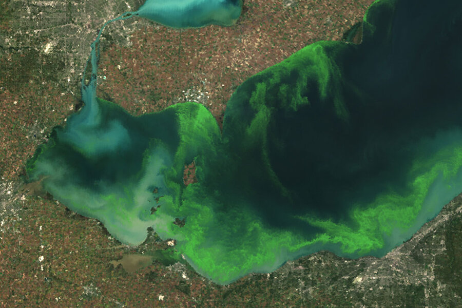 Revenge of the tiger trout: Scientists go after tui chub in Oregon lake ...