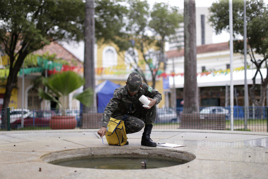 WHO declares global emergency over Zika - CSMonitor.com