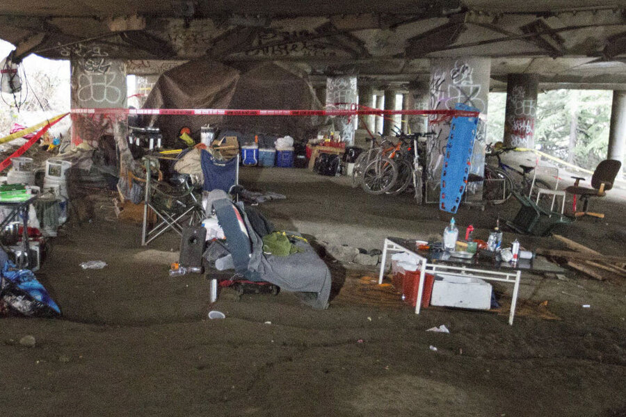 Three Seattle teens arrested in 'Jungle' shooting. What can city do ...