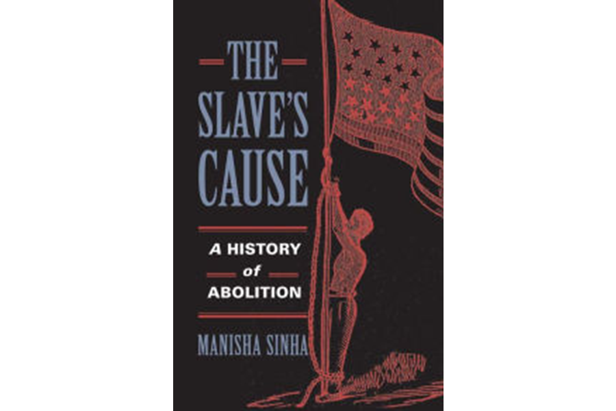 'The Slave's Cause' is a thorough and overdue account of the abolition ...