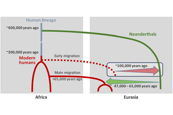 Neanderthals and modern humans mated 50,000 years earlier than we ...
