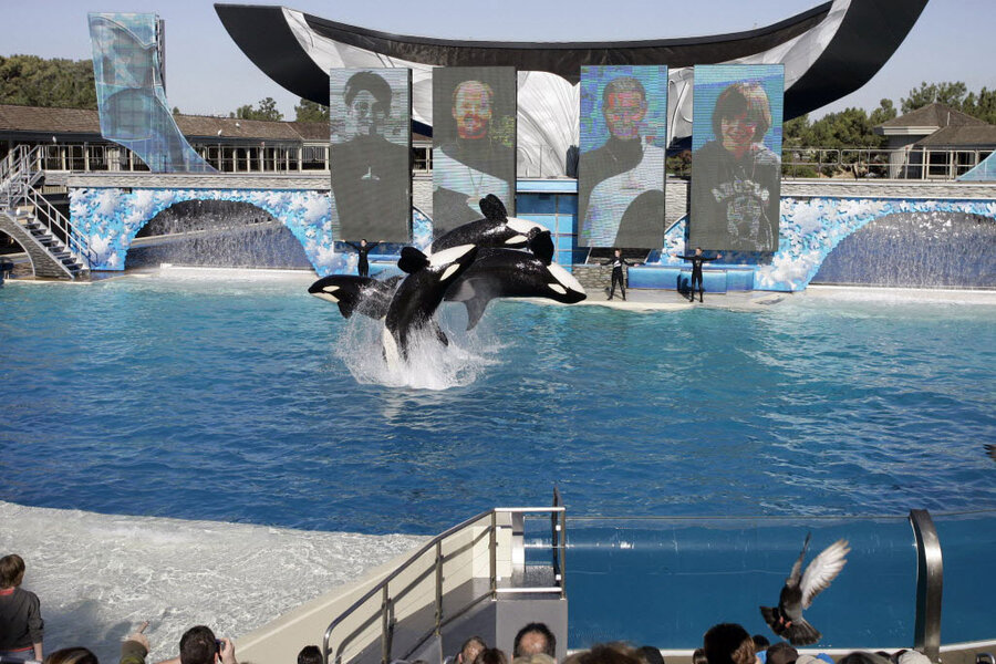 SeaWorld admits employees posed as activists, citing security concerns ...