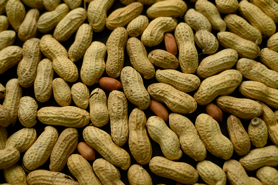 Scientists use peanut ancestors to sequence the legume's genome ...
